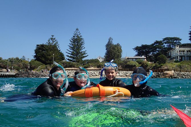 Port Phillip Bay Snorkeling with Sea Dragons - Why This Tour Stands Out