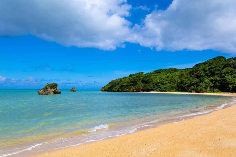 Port Pick-Up: Naha Private Tour Licensed Guide Vehicle - Frequently Asked Questions