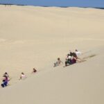 Port Stephens, Beach and Sand Dune 4WD Passenger Tour - The Experience in Detail: What to Expect