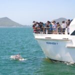 Port Stephens: Dolphin Discovery Cruise - The Boomnet and the Scenic Views