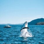 Port Stephens, from Newcastle: Whales, hike & sand dunes! - Final Thoughts