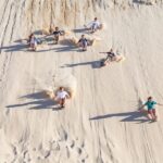 Port Stephens: Unlimited Sandboarding & 4WD Sand Dune Tour - The Itinerary: What to Expect