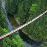 Post-cruise: Vancouver Tour with Lookout & Capilano Bridge - What You’ll See and Experience