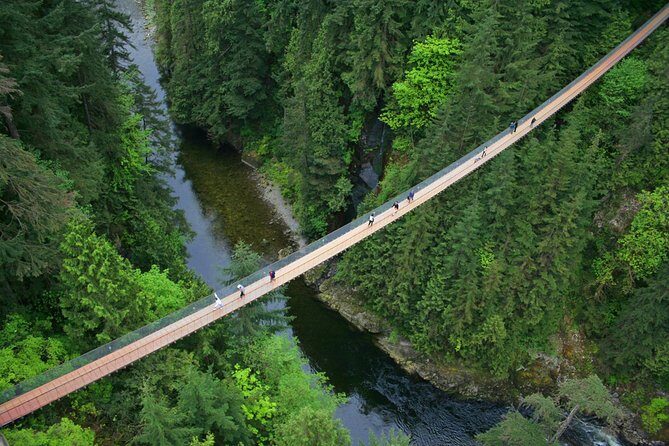 Post-cruise: Vancouver Tour with Lookout & Capilano Bridge - What You’ll See and Experience