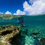 Power Snorkel By Sea Scooters & Tequila Tasting - FAQ