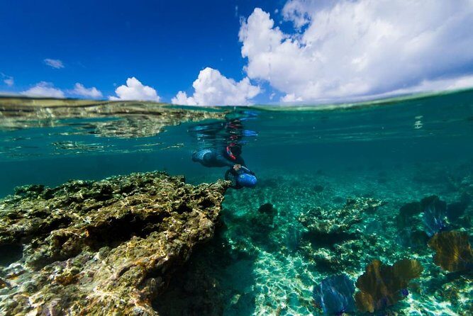 Power Snorkel By Sea Scooters & Tequila Tasting - FAQ