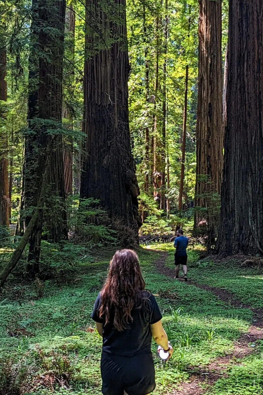 Prairie Creek State Park: Redwood Forest Hiking Tour - Who Should Consider This Tour?