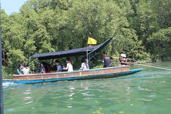 Pranburi Mangrove Swamp and River Cruise - The Value & Practicalities