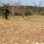 Preah Vihea Temple Tour by Car - Traveling with Ease and Flexibility