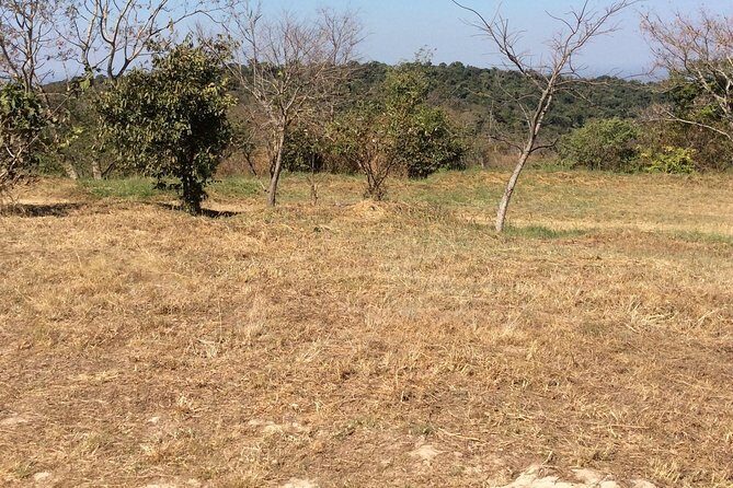 Preah Vihea Temple Tour by Car - Traveling with Ease and Flexibility