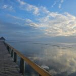 Premier Transfers and Tours Fiji - Detailed Breakdown of the Experience