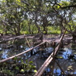 Premium Con Son Islet tour  Explore The Precious Gem - Is It Worth The Price?