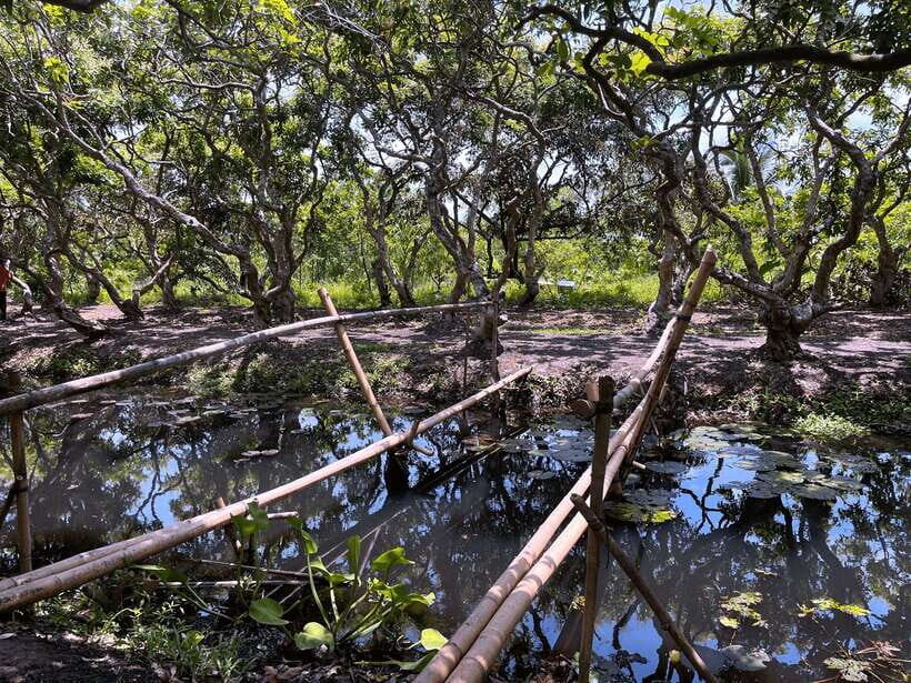 Premium Con Son Islet tour  Explore The Precious Gem - Is It Worth The Price?