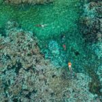 Premium Family Snorkeling Experience - Practical Tips for Your Snorkeling Adventure
