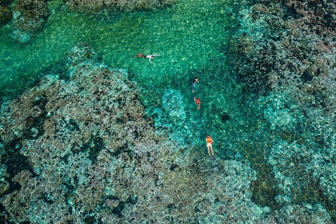 Premium Family Snorkeling Experience - Practical Tips for Your Snorkeling Adventure