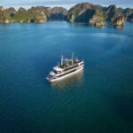 Premium Halong Day Cruise with Buffet Lunch, Cave & Island - What to Expect on the Cruise