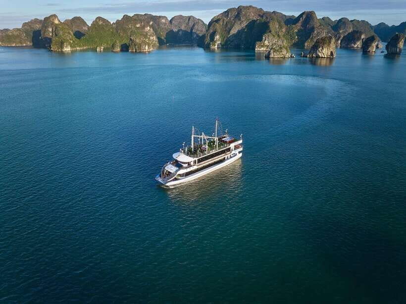 Premium Halong Day Cruise with Buffet Lunch, Cave & Island - What to Expect on the Cruise