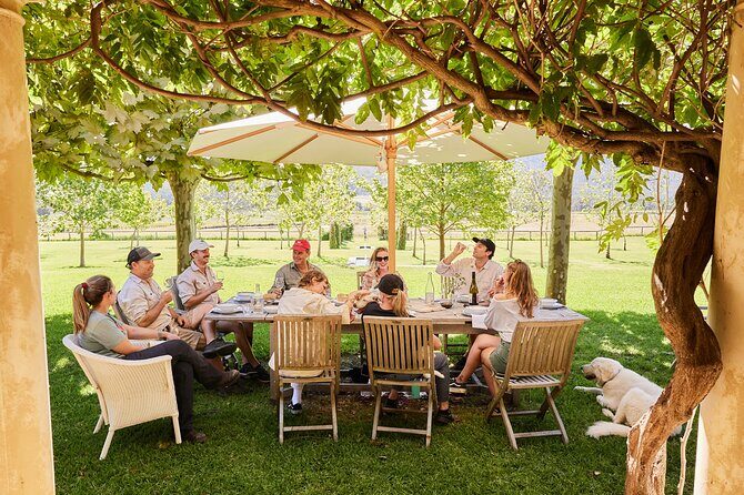 Premium Hunter Wine Tour with Degustation Lunch and Paired Wines - Practical Details and What to Expect