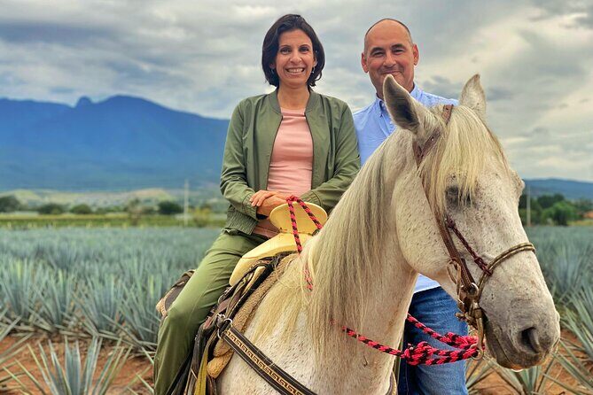 Premium Private Tequila Tour - The Value Proposition