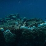 Premium Sea Scooter Lagoon Discovery - What’s Included and What to Consider