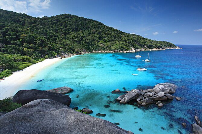 Premium Similan Island Day Trip with lunch and transfer pick up - Authentic Experiences & Real Guest Feedback