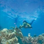 Premium Whitsunday Islands Sail, SUP & Snorkel Tour - Practical Information & Considerations