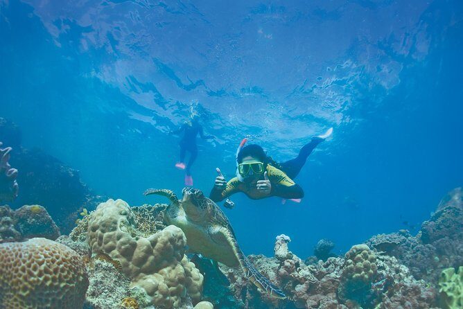 Premium Whitsunday Islands Sail, SUP & Snorkel Tour - Practical Information & Considerations