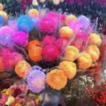 PRI Guangzhou Day Tour - Who Should Consider This Tour?