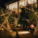 Princess Kaguya's Glowing Garden Pass in Sakuramachi Kumamoto - A Deep Dive Into the Experience