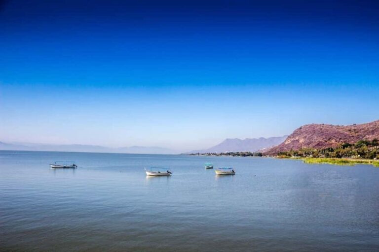 Privado: Rancho Vicente Fdez, Ajijic, Chapala y Tlaquepaque - What Makes This Tour Stand Out