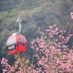 Private 1 Day Sun Moon Lake Escape Tour from Taipei - Real Travelers’ Perspectives