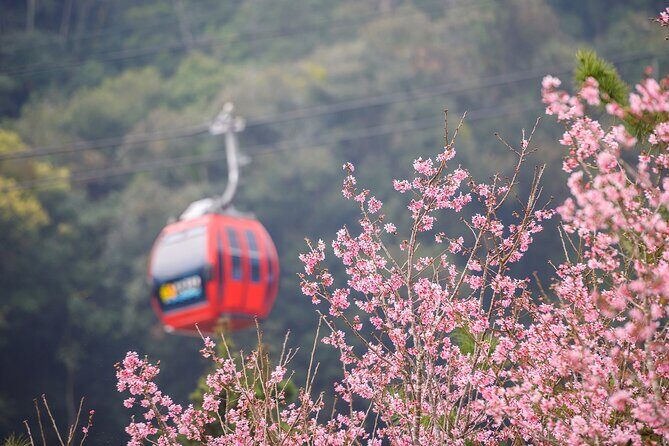 Private 1 Day Sun Moon Lake Escape Tour from Taipei - Real Travelers’ Perspectives