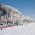 Private 1:1 Ski Lesson near Seoul, South Korea - The Lesson: How It Works