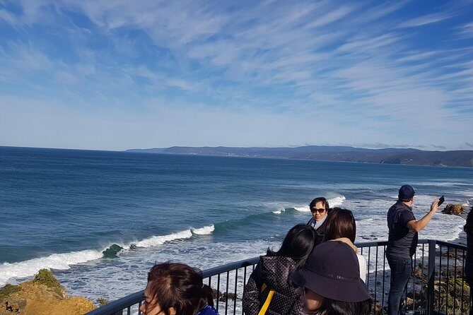 Private 12 Apostles or Melbourne Tour - Shore Excursion - What to Expect on the Tour