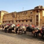 Private 13 Day Rajasthan Heritage Tour With Taj Mahal & Delhi - In-Depth Itinerary Breakdown