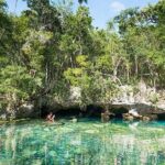 Private 2-Cenote Snorkeling Tour with Authentic Mayan Lunch - The Sum Up