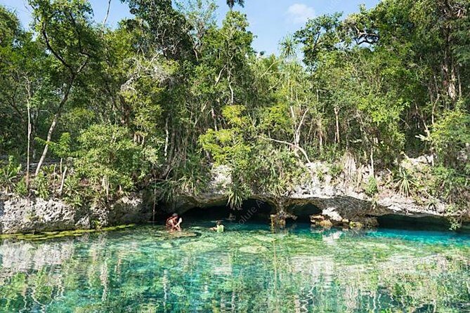 Private 2-Cenote Snorkeling Tour with Authentic Mayan Lunch - The Sum Up