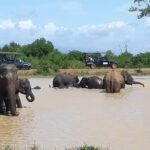 Private 2-Day Trip To Mirissa Beach And Yala From Colombo - Who Will Love This Tour?