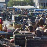 Private 2 Days 1 Night Sai Gon - Sa Dec - An Binh - Can Tho - Day 2: The Floating Market and Beyond