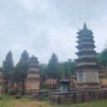 Private 3-day Henan Tour with Shaolin Temple, Longmen Grottoes and MORE! - Who Would Love This Tour?