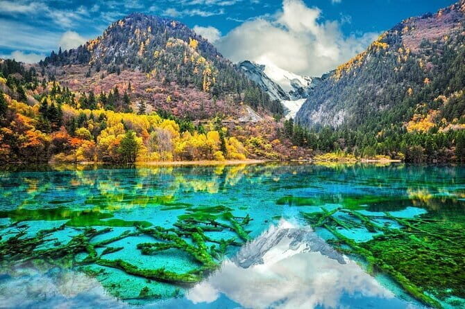 Private 3 Day Jiuzhaigou Experience from Chengdu with Private Car - Day 3: Wolong Panda Reserve & Departure