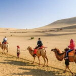 Private 3-Day Silk Road Tour Including Dunhuang And Jiayuguan - Who Would Benefit Most?