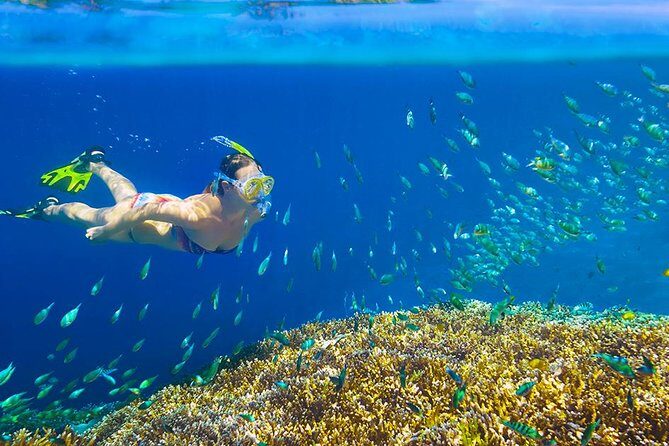 Private 3-Hour Snorkeling Tour with Arch Tour and Beach Time - In-Depth Look at the Price and Value