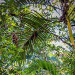 Private 4 hour Hiking Adventure + Breakfast in Nogalito Ecopark - Who Will Love This Tour?
