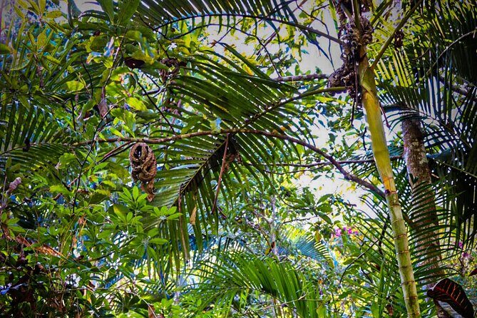 Private 4 hour Hiking Adventure + Breakfast in Nogalito Ecopark - Who Will Love This Tour?