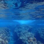 Private 4 Hours Reef Discovery Luxury Private Treasure Hunt in Bora Bora - Why Choose This Tour?