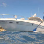Private 45' Yacht in Cabo - Lunch and Libations on the Water