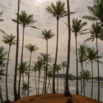 Private 6-Day-Highlights-Tour Around Sri Lanka - FAQ