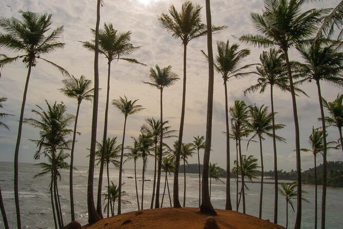 Private 6-Day-Highlights-Tour Around Sri Lanka - FAQ