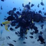 Private 6 Day Tour in South Taiwan - Who Would Enjoy This Tour?